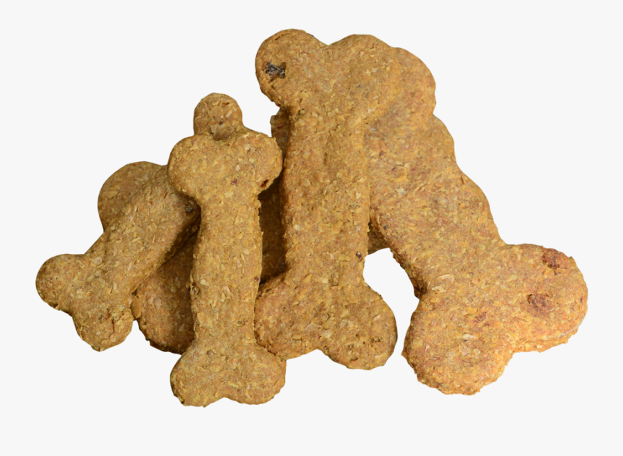 Dog Treat Png - Gingerbread , Free Transparent Clipart - ClipartKey