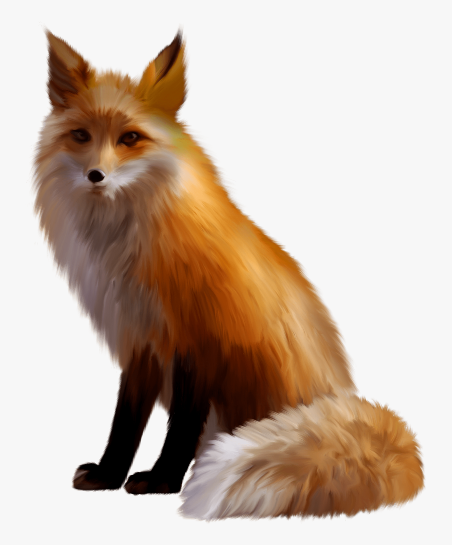 Fox Transparent Background , Free Transparent Clipart - ClipartKey
