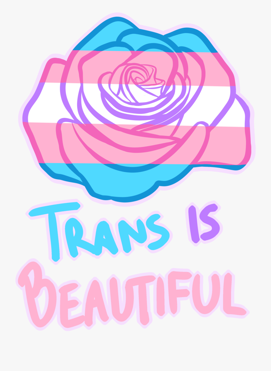 Transparent Transgender Symbol Png - Transgender Png , Free Transparent ...