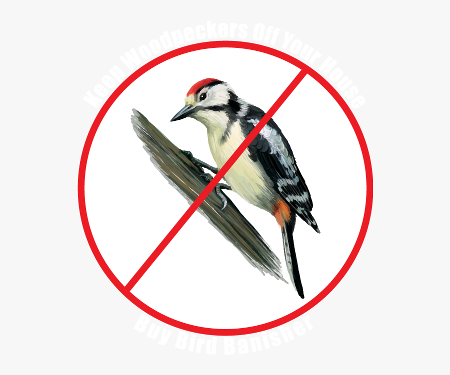 Pan Am Logo Transparent , Free Transparent Clipart - ClipartKey