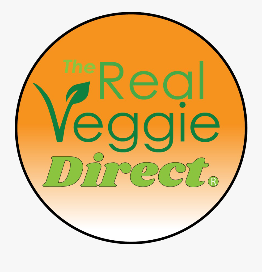 Direct - Circle , Free Transparent Clipart - ClipartKey