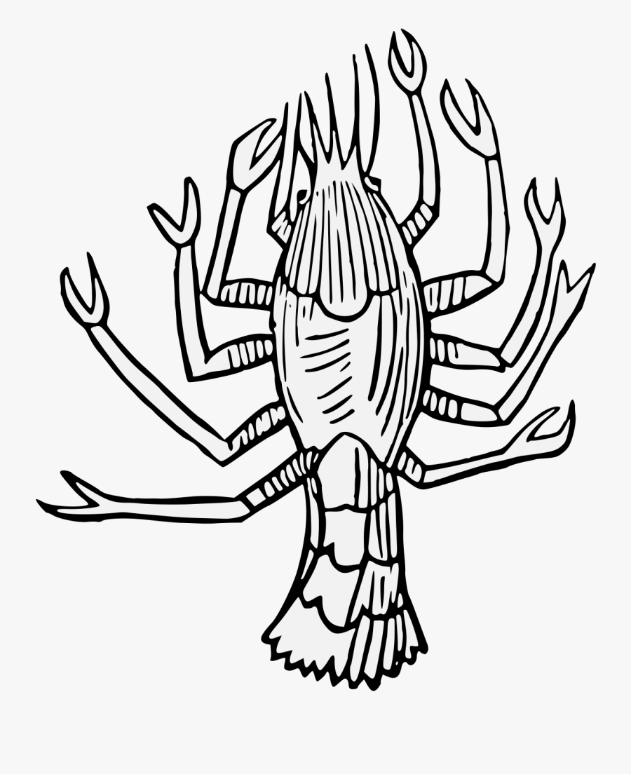 Crayfish - Line Art , Free Transparent Clipart - ClipartKey