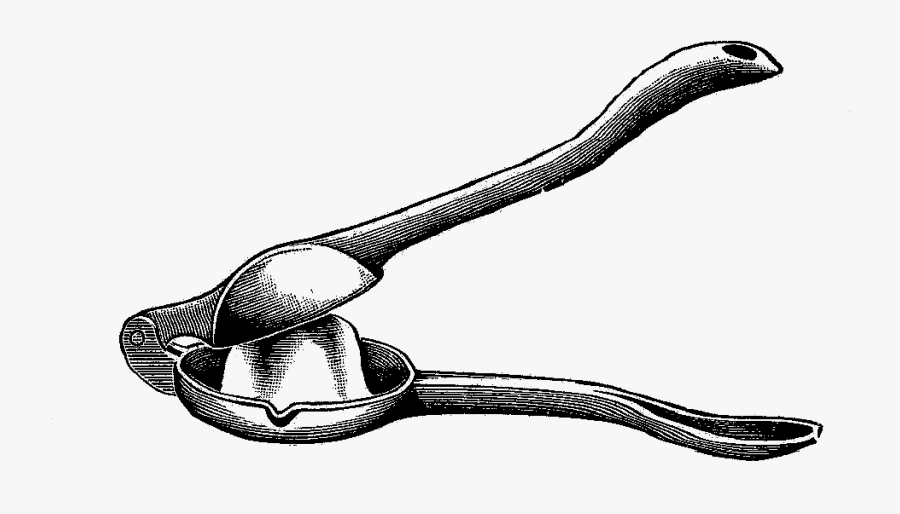Clipart Of Lemon Squeezer , Free Transparent Clipart - ClipartKey