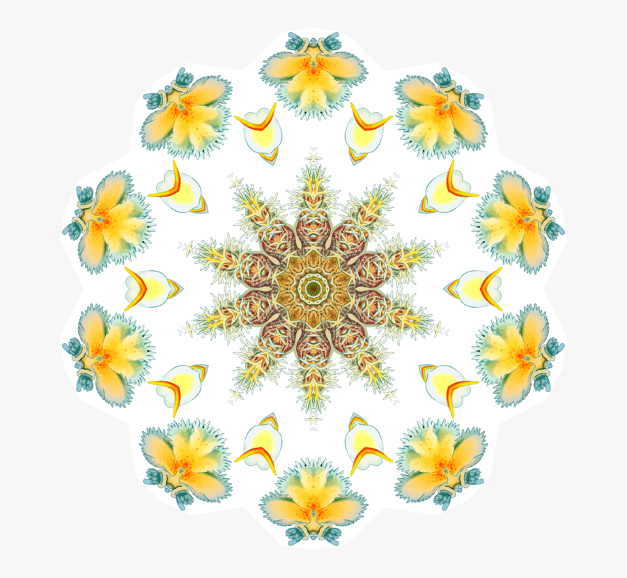 Plant,flower,symmetry , Free Transparent Clipart - ClipartKey