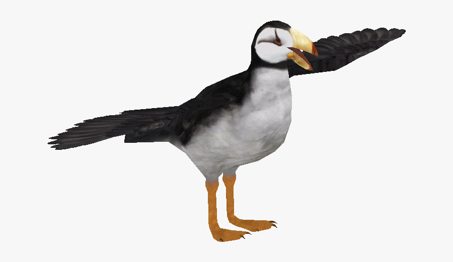 Horned Puffin Png , Free Transparent Clipart - ClipartKey