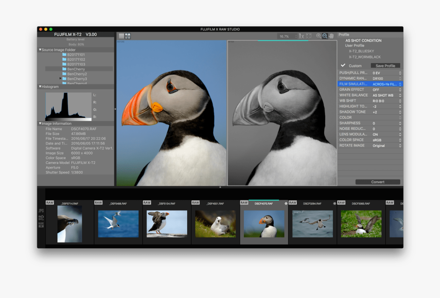 Transparent Film Grain Png - Fujifilm X Raw Studio , Free Transparent ...