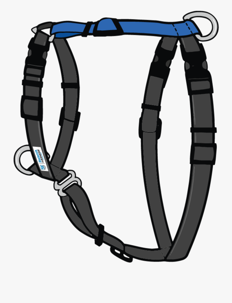 Blue 9 Balance Harness , Free Transparent Clipart - ClipartKey