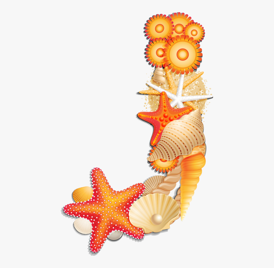 1 Alpha Orange - Alphabet Seashells Png , Free Transparent Clipart ...