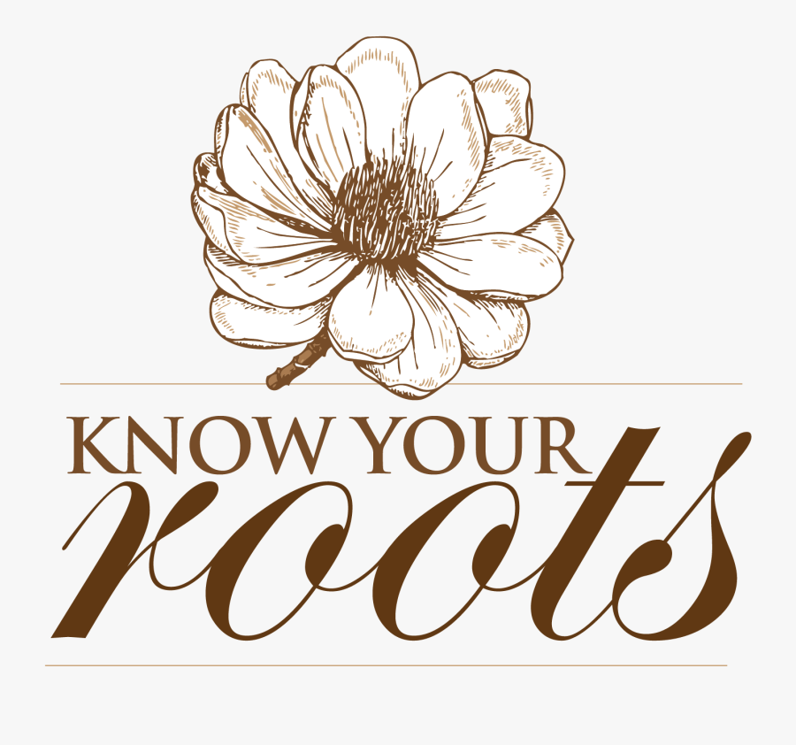 Know Your Roots Logo - African Daisy , Free Transparent Clipart ...