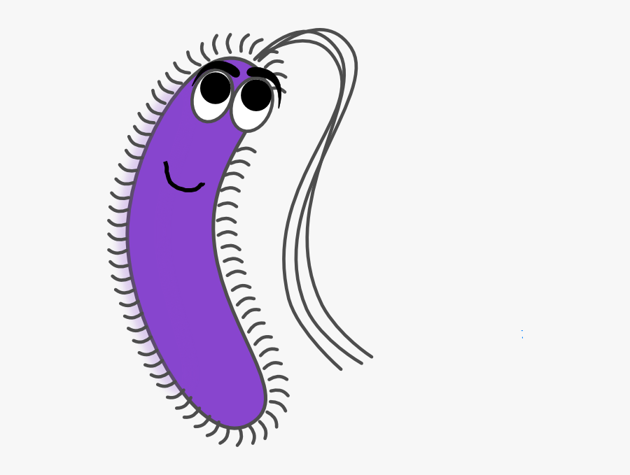 Cilia And Flagella Cartoon , Free Transparent Clipart - ClipartKey