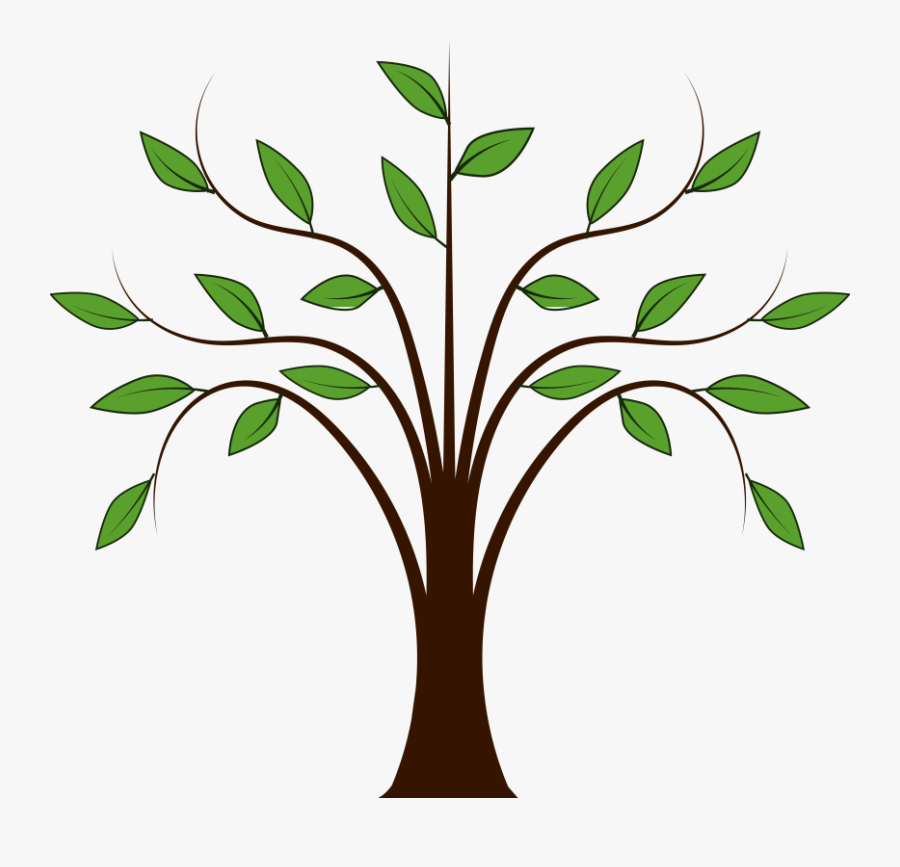 Spring Trees Clipart - Tree Clipart Free , Free Transparent Clipart ...