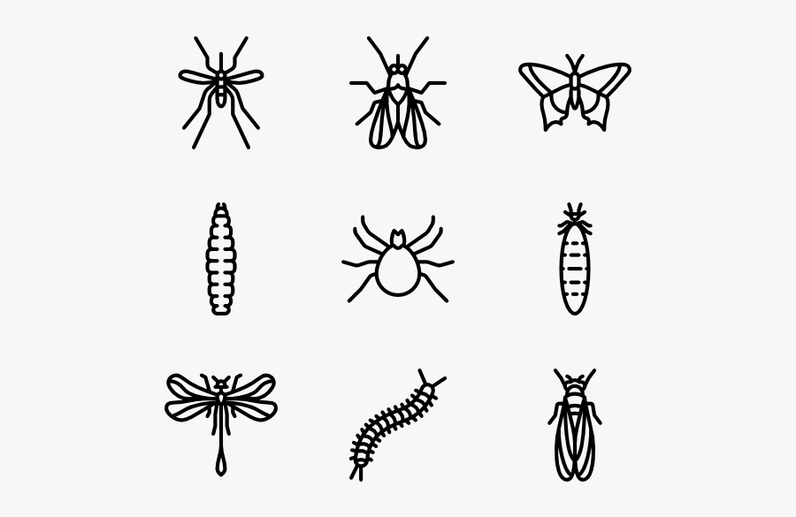 Vector Insects Svg , Free Transparent Clipart - ClipartKey
