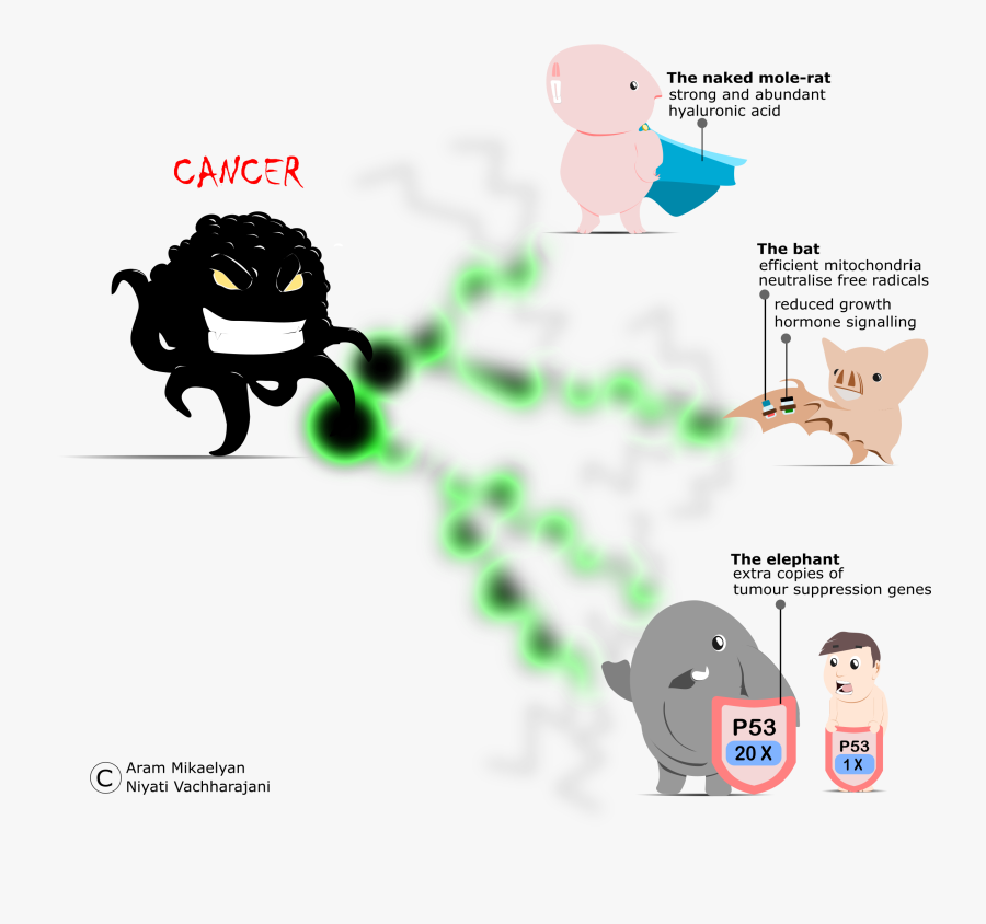 Summary Figure - Cartoon , Free Transparent Clipart - ClipartKey