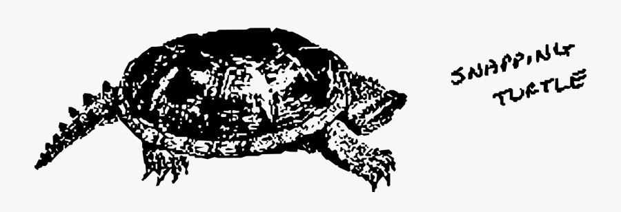 Snapping Turtle Clip Arts - Snapping Turtle Drawing , Free Transparent ...