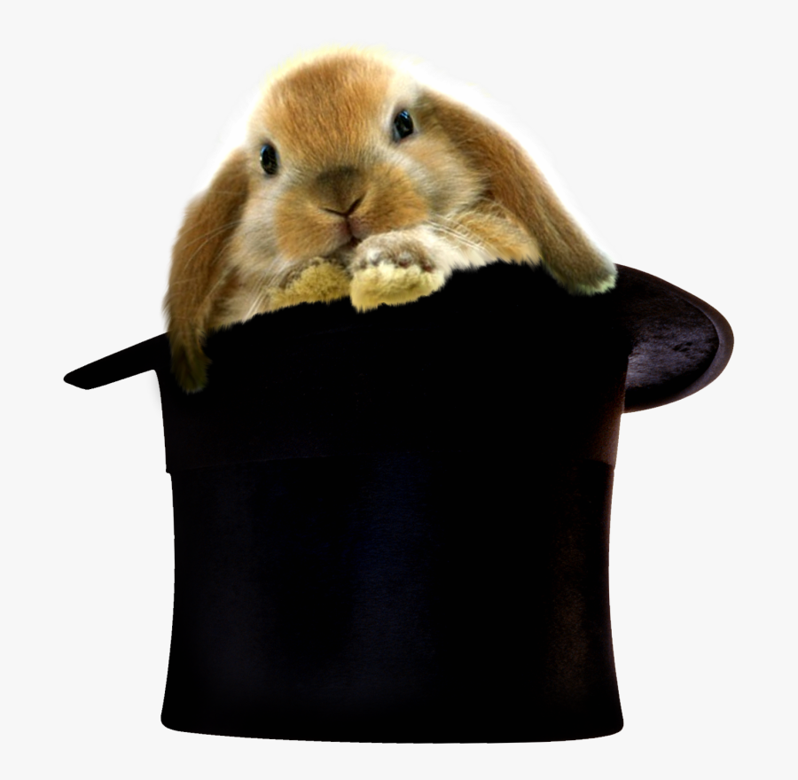 Rabbit In Top Hat Png , Free Transparent Clipart - ClipartKey