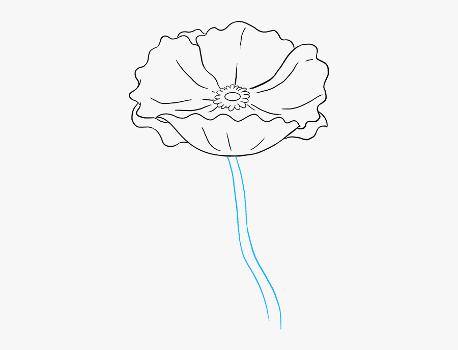 How To Draw Poppy - Easy California Poppy Drawings , Free Transparent ...