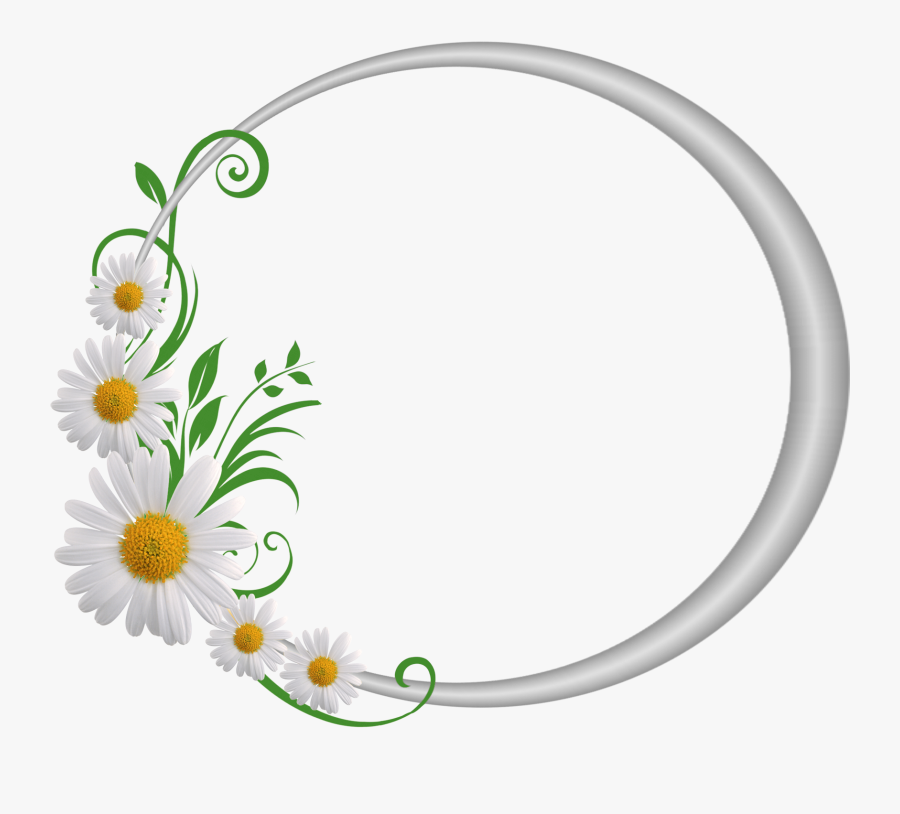 Daisy Clipart Vine - Round Photo Frame Png , Free Transparent Clipart ...