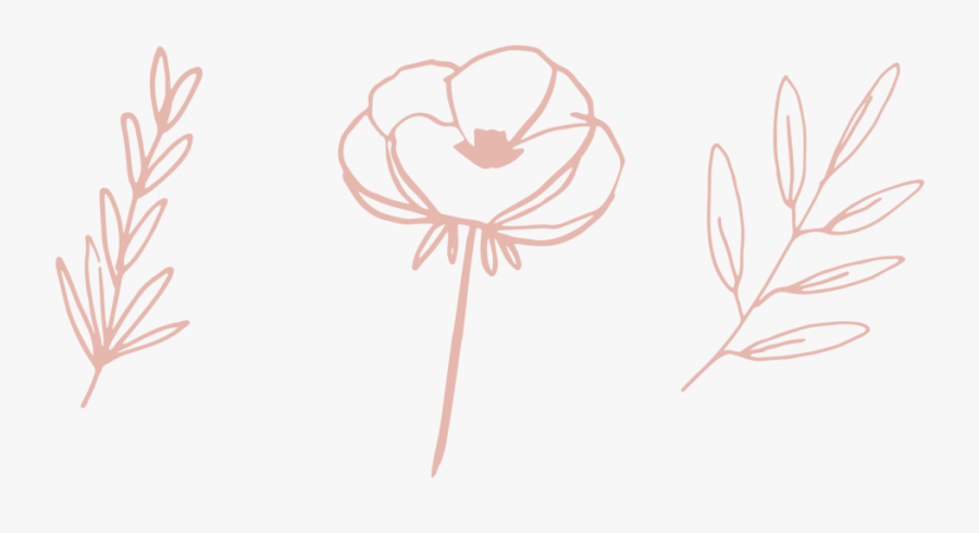 Drawing , Free Transparent Clipart - ClipartKey