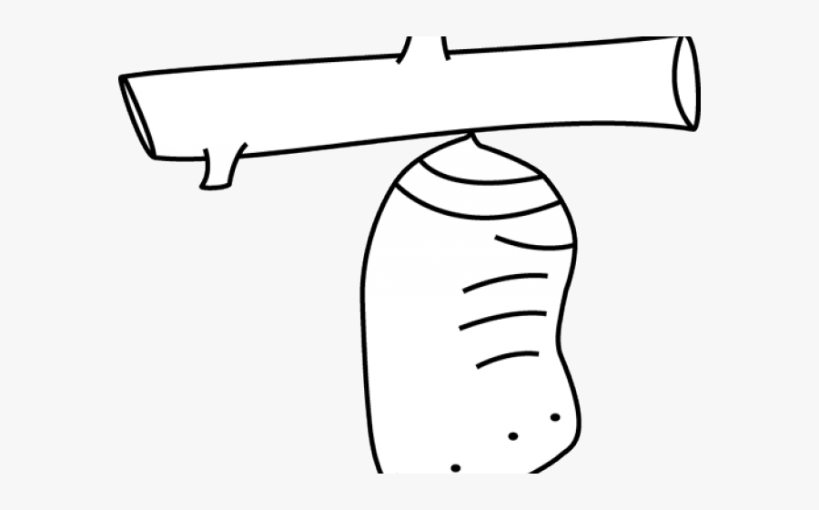 Chrysalis Cliparts , Free Transparent Clipart - ClipartKey