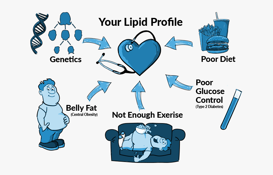 Transparent Fat Heart Clipart - Triglycerides Cartoon , Free ...
