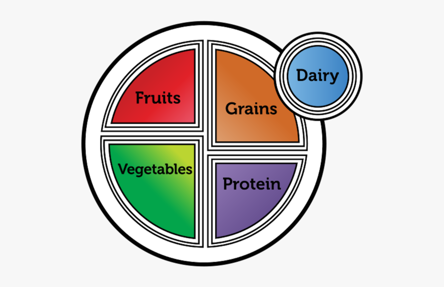 Tattoos Education Store Temporary - Myplate , Free Transparent Clipart ...