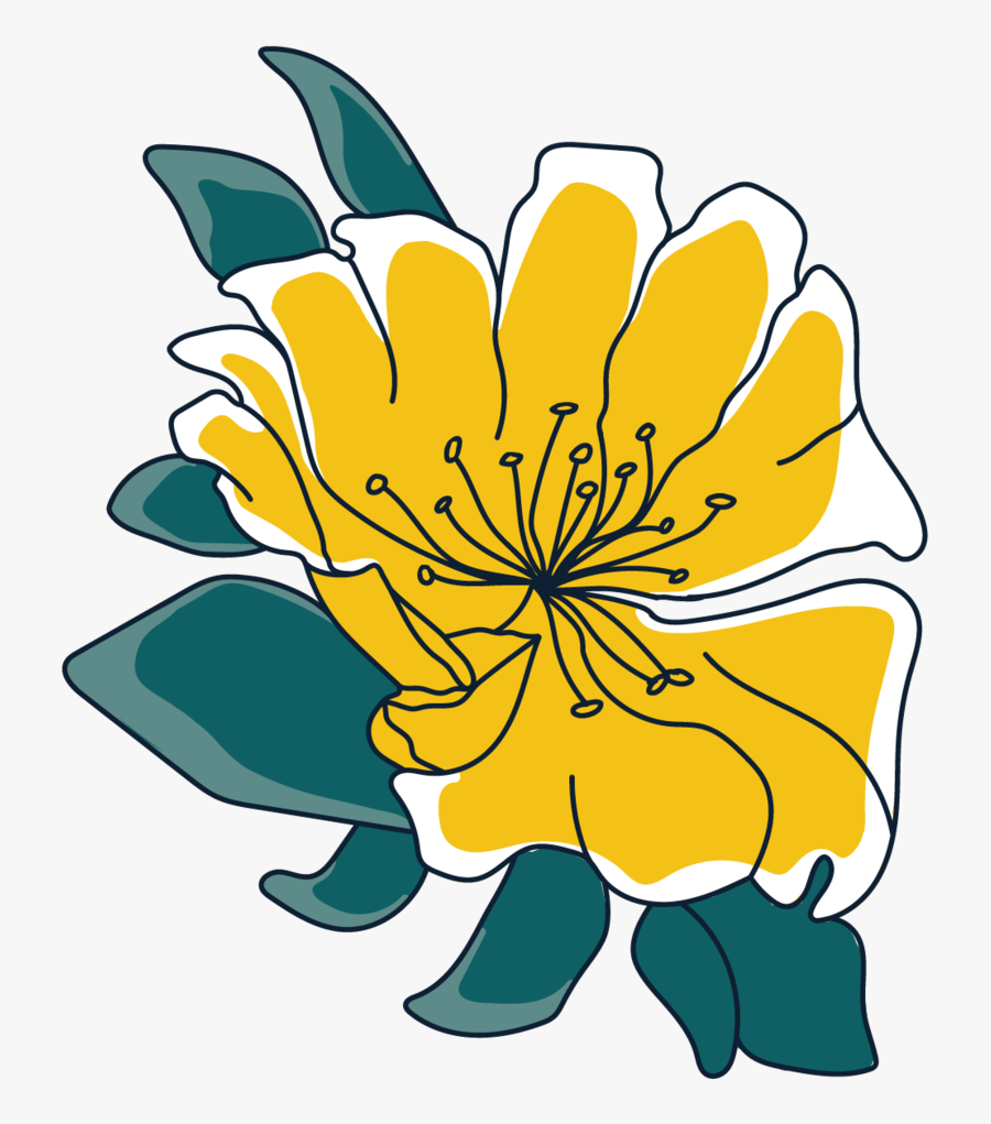 B A Y A H I B E R O S E Dominican 36% Of The Blend - Bayahibe Rose Logo ...