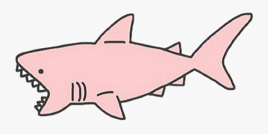 1024 X 471 1 0 - Pink Shark Transparent , Free Transparent Clipart ...