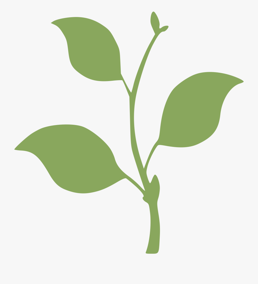 Transparent Sapling Clipart , Free Transparent Clipart - ClipartKey