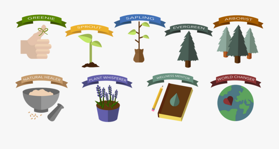 Gamification Info Health Healing - Christmas Tree , Free Transparent ...