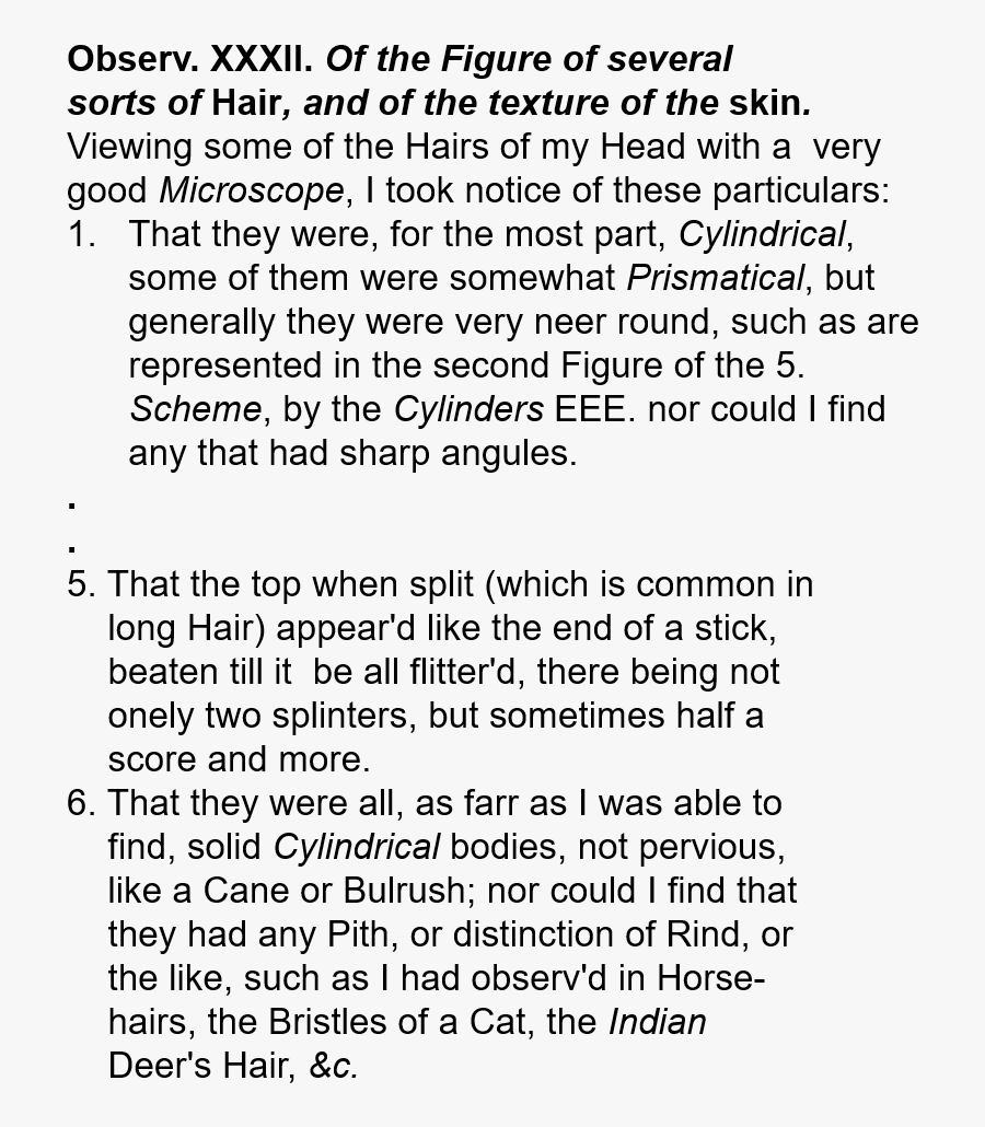 Transparent Hitler Hair Png - Job In My Dream , Free Transparent ...