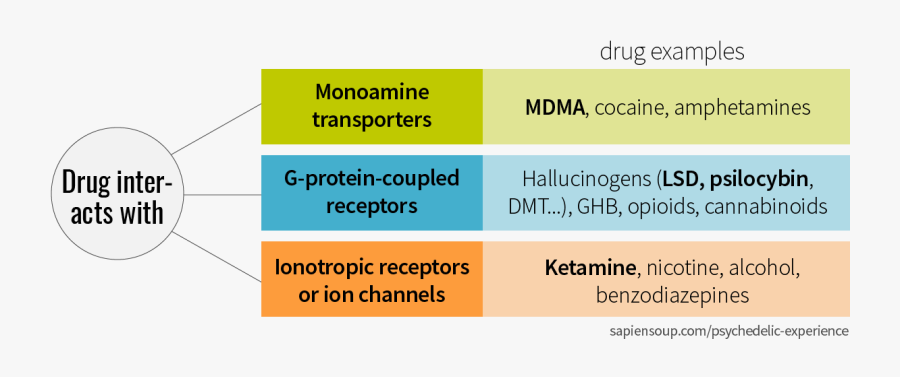 Transparent Psychedelic Png - Mdma Vs Lsd , Free Transparent Clipart ...