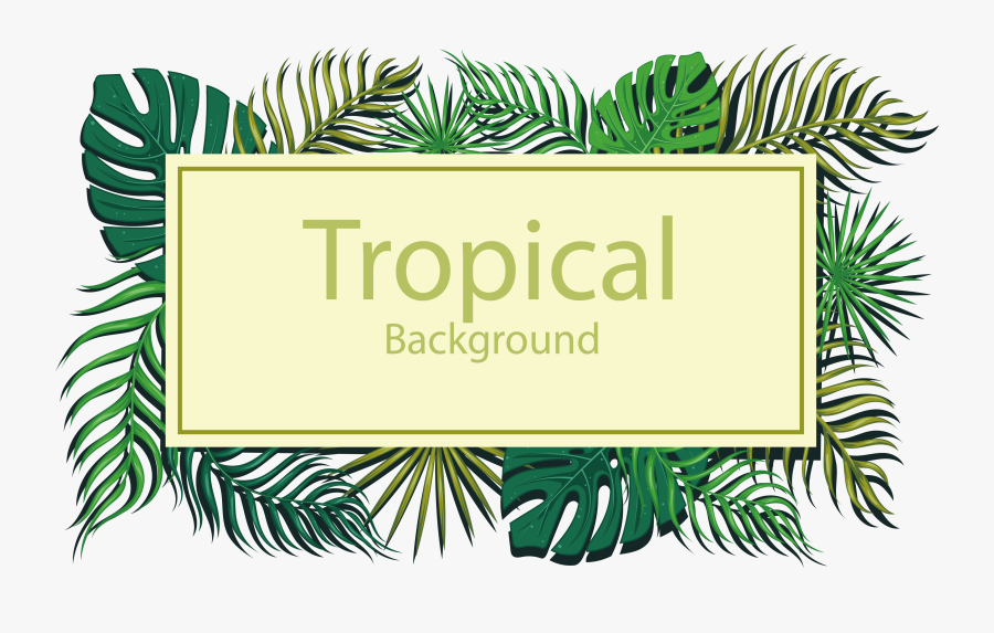 Transparent Tropical Background Clipart - Vector Leaf Title , Free ...