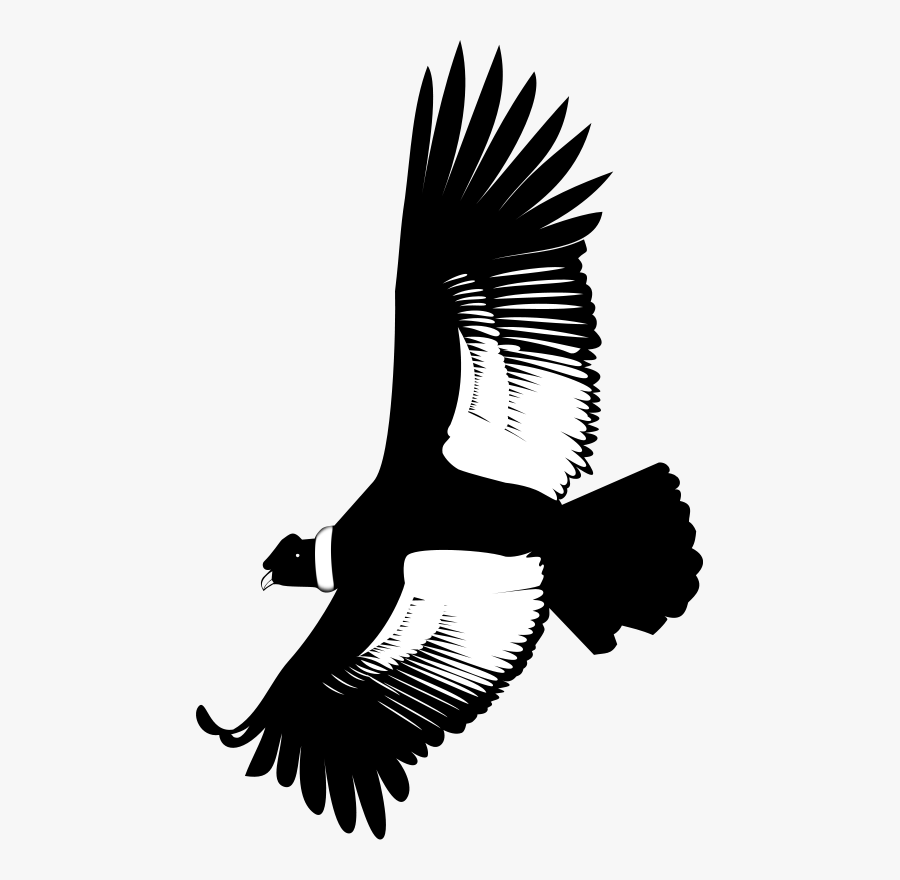 Andean Condor Silhouette , Free Transparent Clipart - ClipartKey
