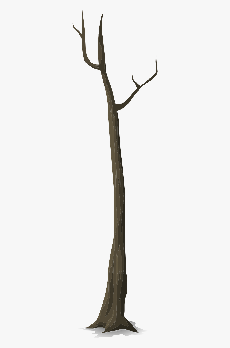 Tree Bunch , Free Transparent Clipart - ClipartKey