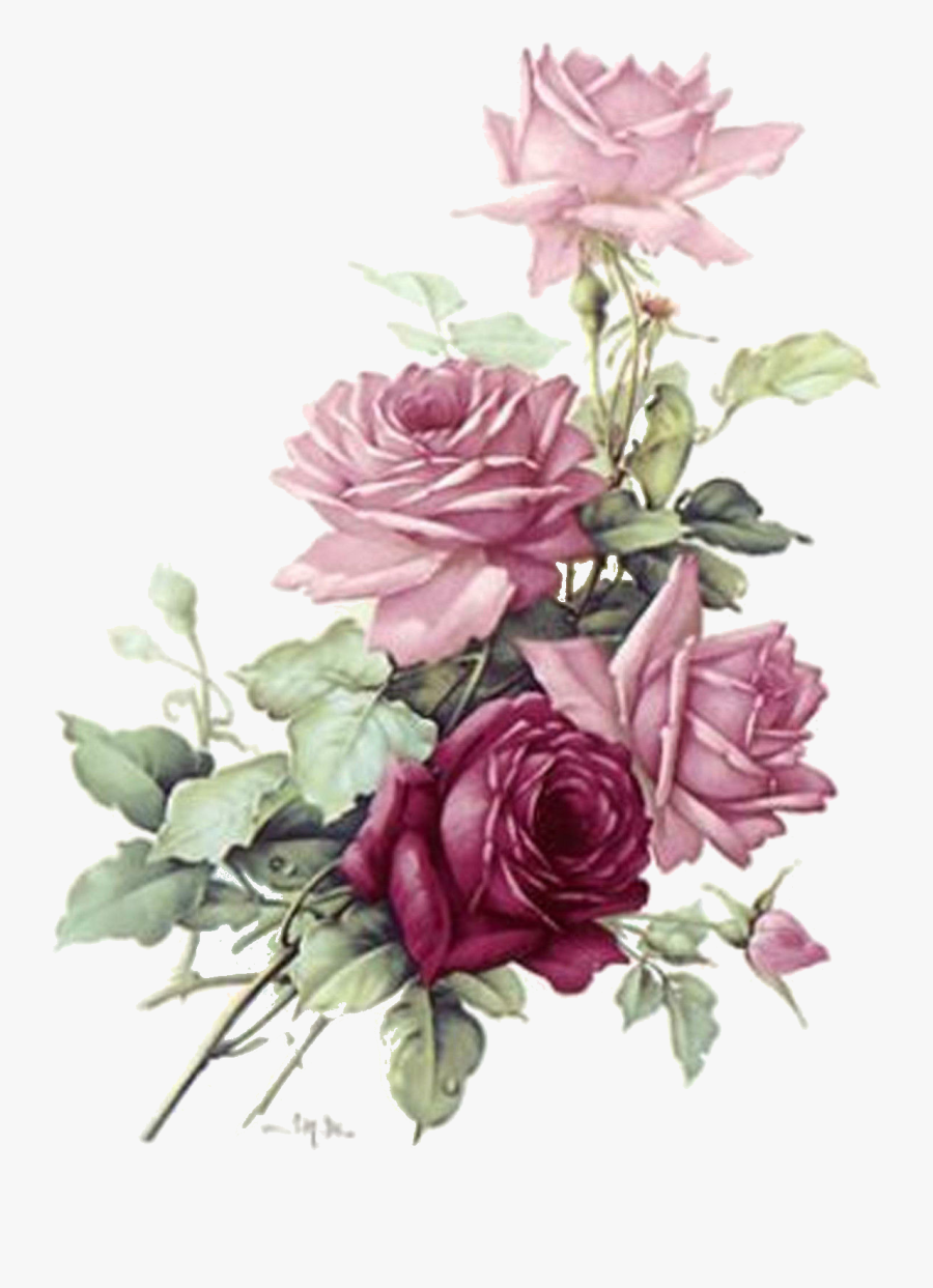 Transparent Vintage Roses Png - Pink Roses Png Transparent , Free ...