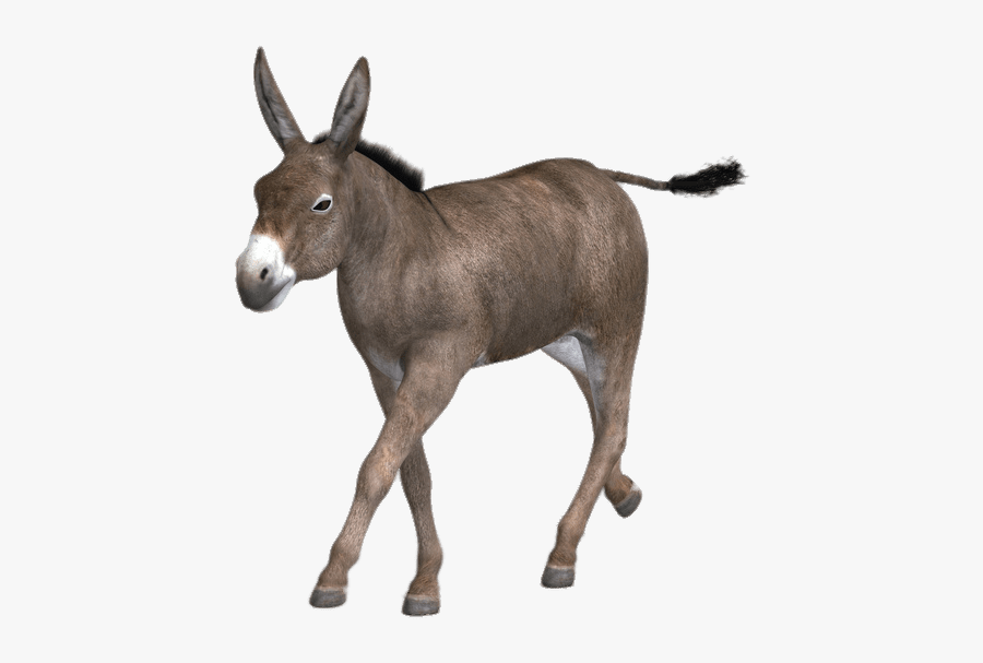 Running Mule - Mule Png , Free Transparent Clipart - ClipartKey