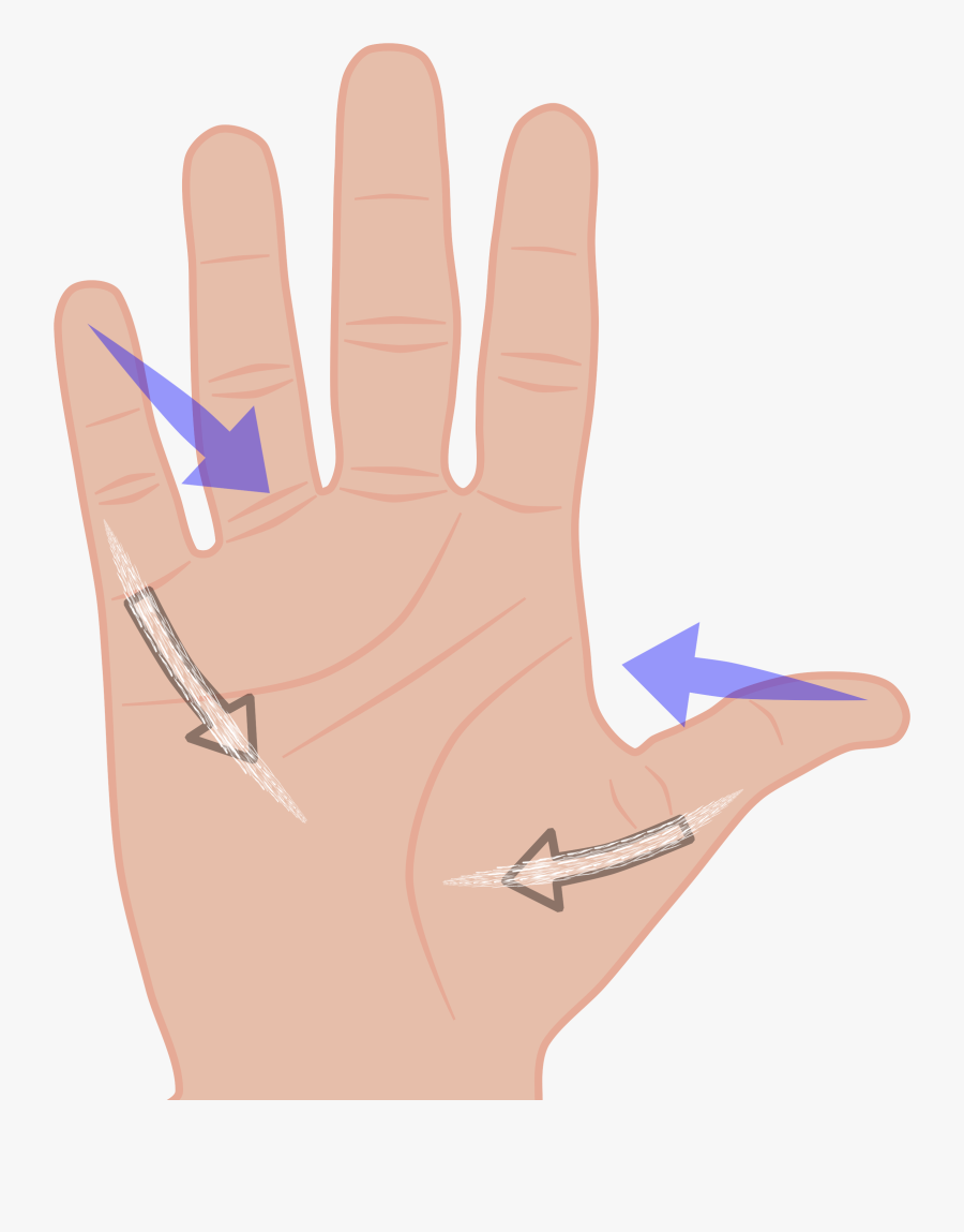 Fingers Clipart - Span Hand , Free Transparent Clipart - ClipartKey