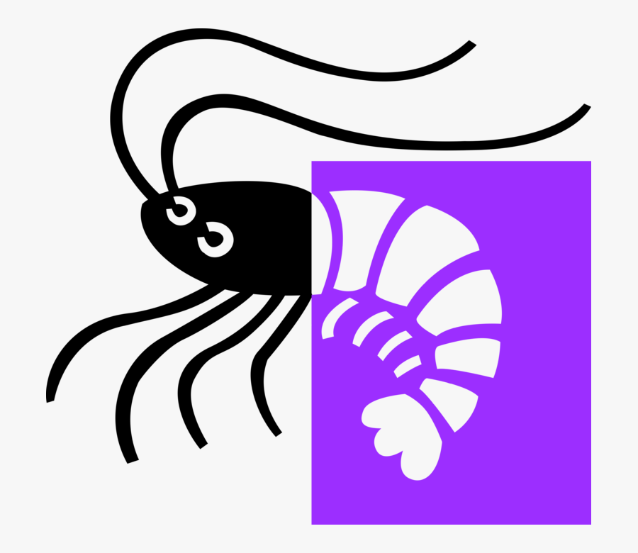 Clip Art Prawn Shellfish Seafood Image - Shrimp , Free Transparent ...
