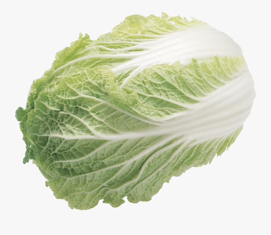 Lettuce Salad - Repolyo Png , Free Transparent Clipart - ClipartKey