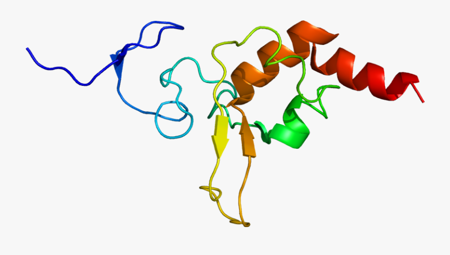 Structure D Enzyme Xpa , Free Transparent Clipart - ClipartKey