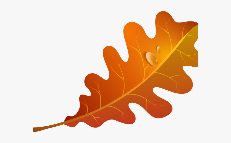 Orange Fall Leaves Clip Art , Free Transparent Clipart - ClipartKey