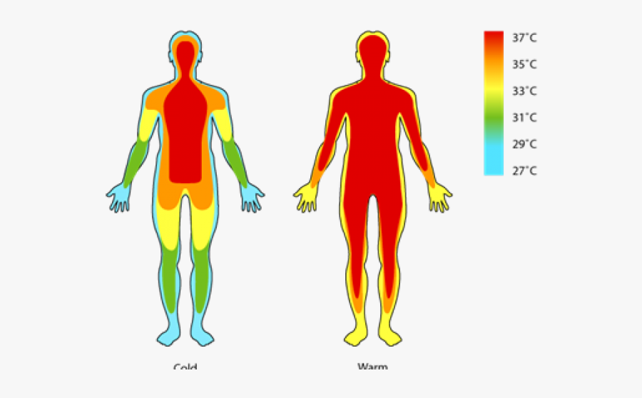 Core Temperature , Free Transparent Clipart - ClipartKey