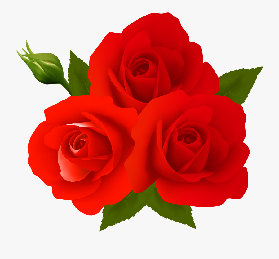 Garden Centifolia Clip Art , Transparent Cartoons , Free Transparent ...