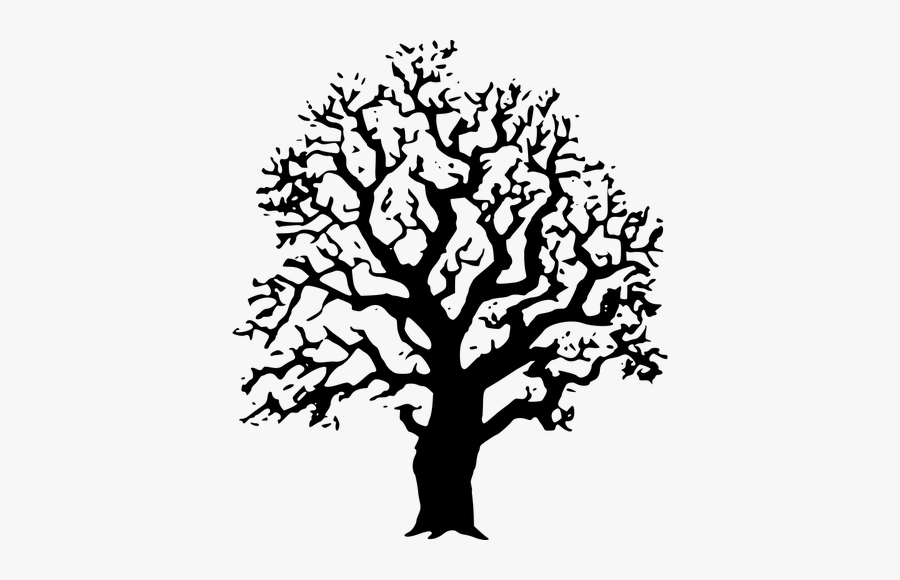 Oak Tree Vector Image - Laser Cut Tree Vector , Free Transparent ...
