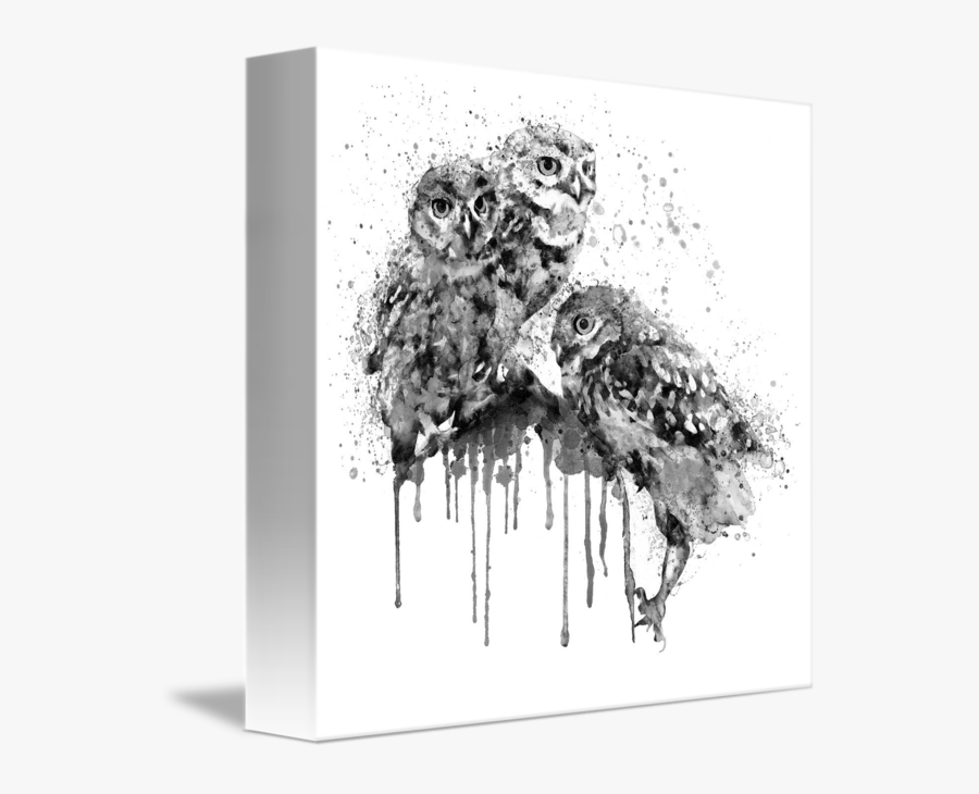 "three Cute Owls Black And White - Art Black And White Owl , Free ...