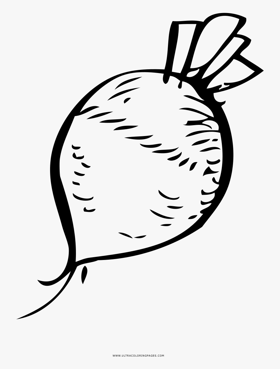 Turnip Coloring Page , Free Transparent Clipart - ClipartKey