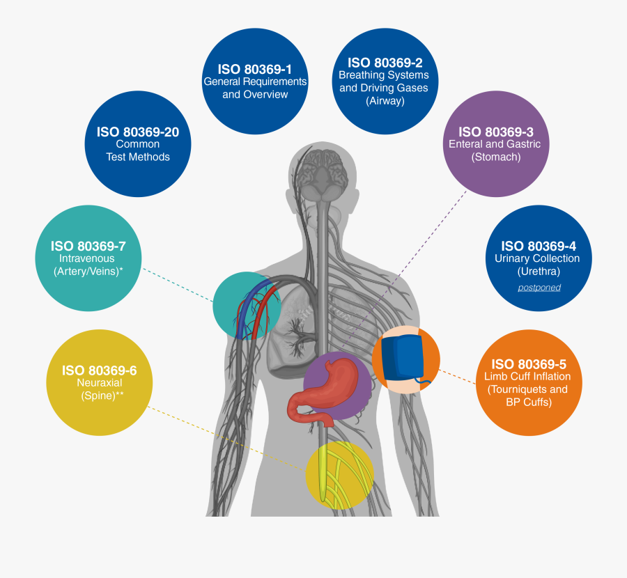 Iso - Graphic Design , Free Transparent Clipart - ClipartKey