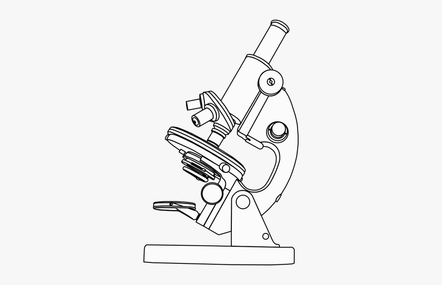 Laboratory Microscope Line Art Vector Illustration - Light Microscope ...