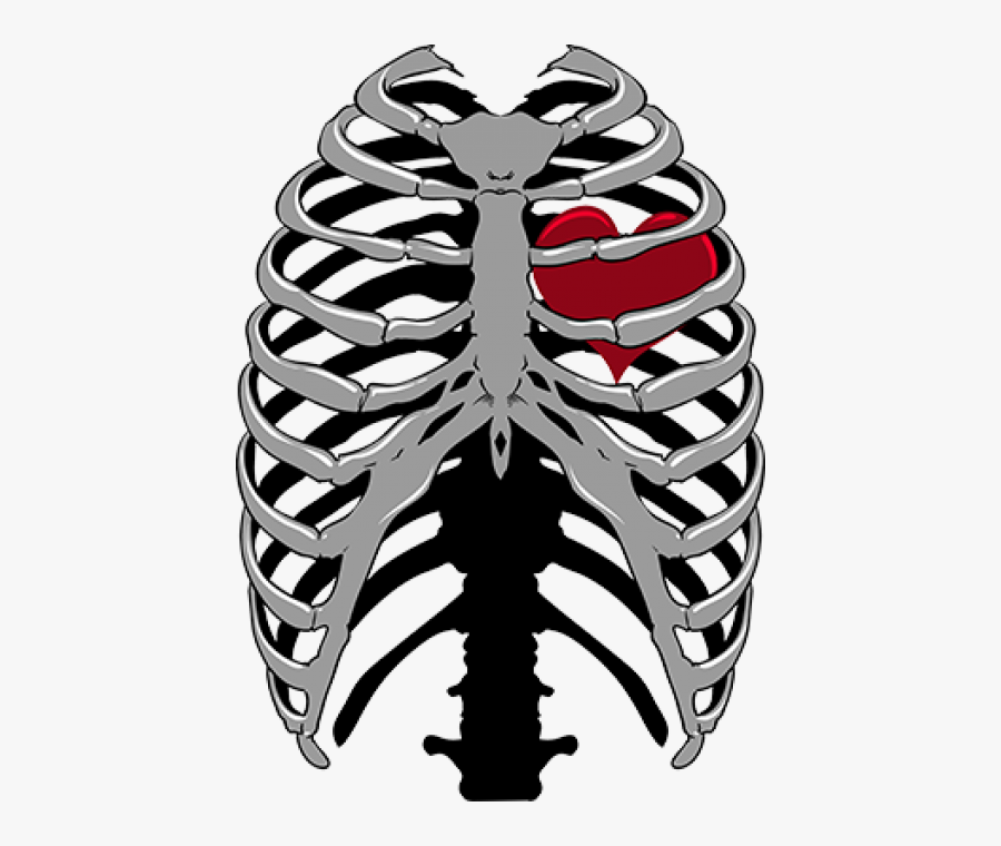 Ribcage - T-shirt , Free Transparent Clipart - ClipartKey
