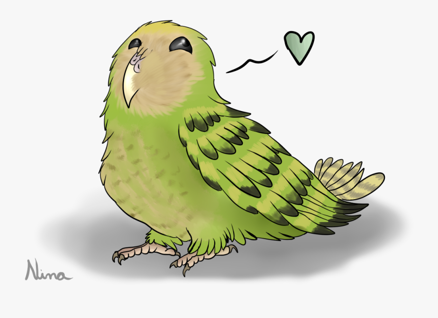 Drawn Parakeet Kakapo - Kakapo Png , Free Transparent Clipart - ClipartKey